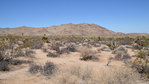 Be Strong and Courageous | Preaching Today