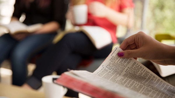 Build Your Ministry | Small Groups