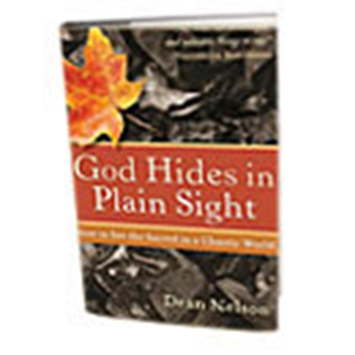 God at Work | Books and Culture