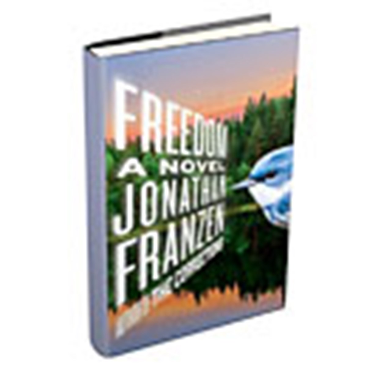 Freedom | Books and Culture