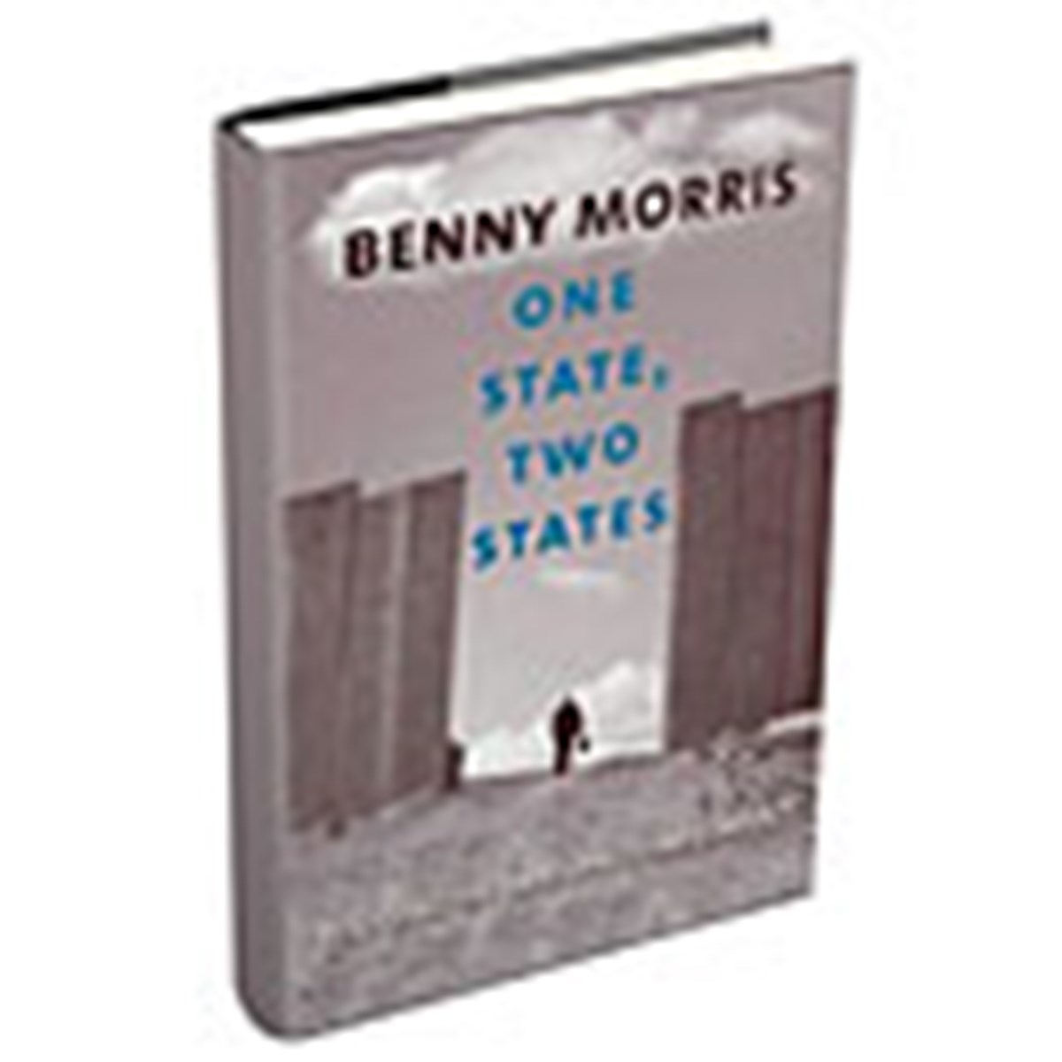 One State, Two States | Books and Culture