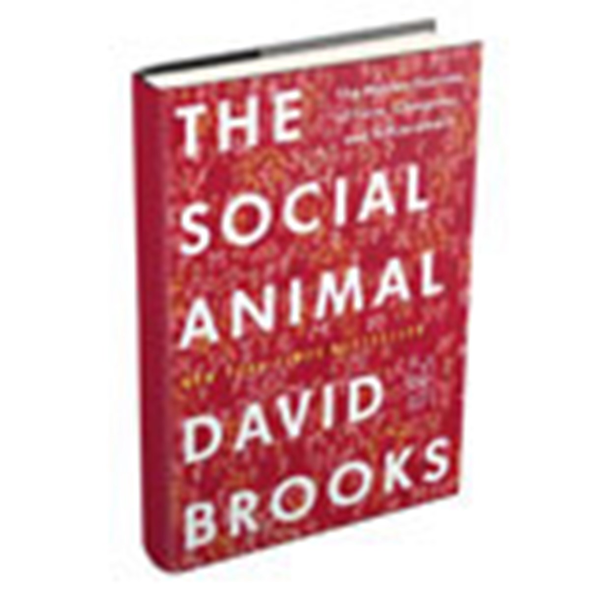Two Minutes with ... David Brooks | Books and Culture