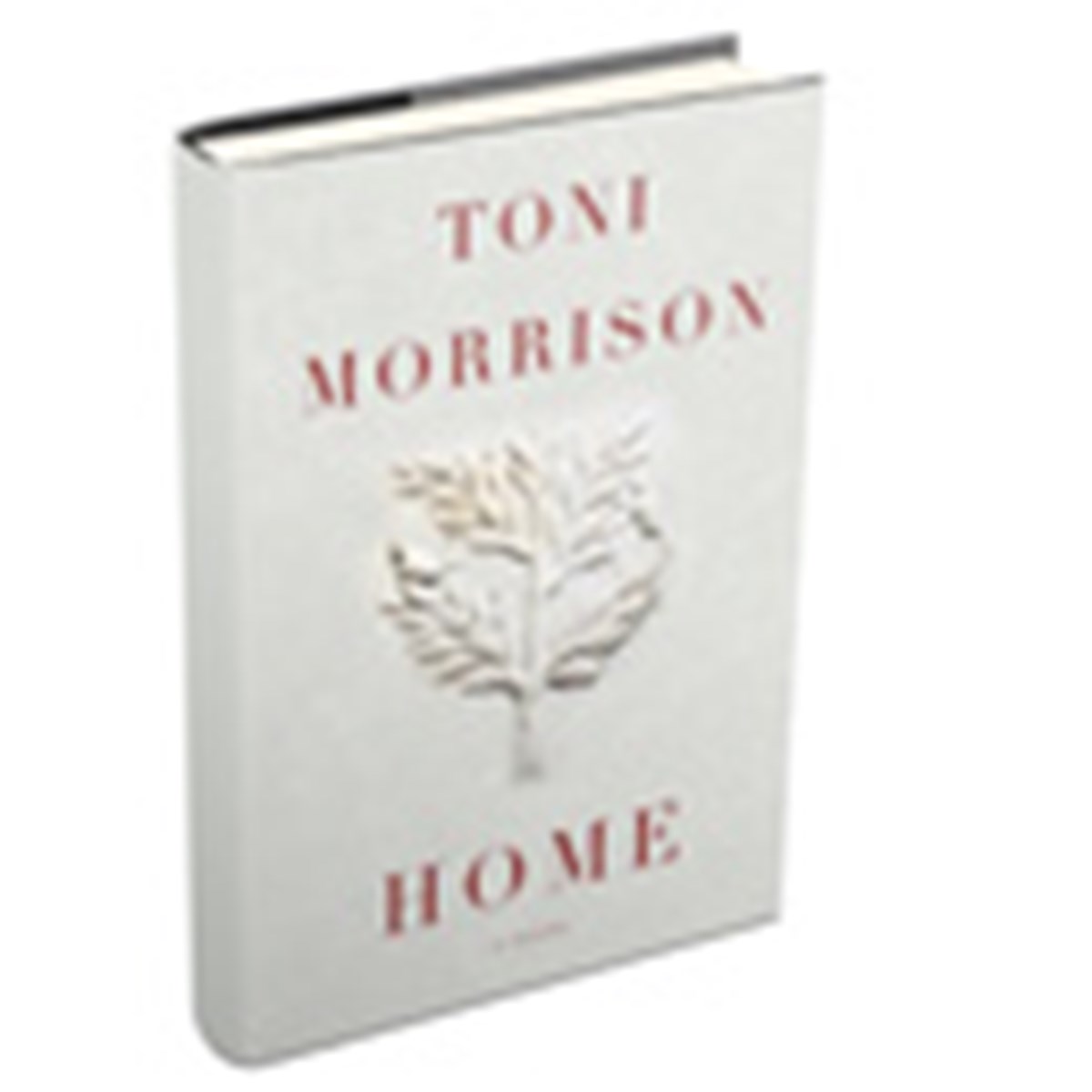 Home | Books and Culture