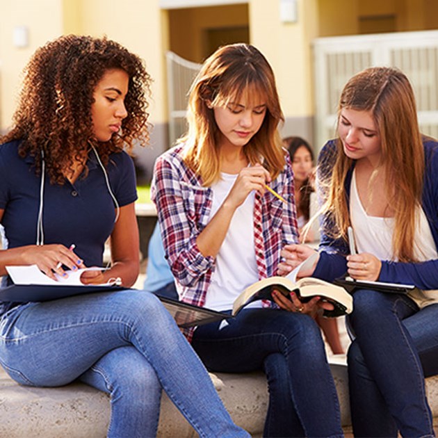 Effective Student Groups | Small Groups