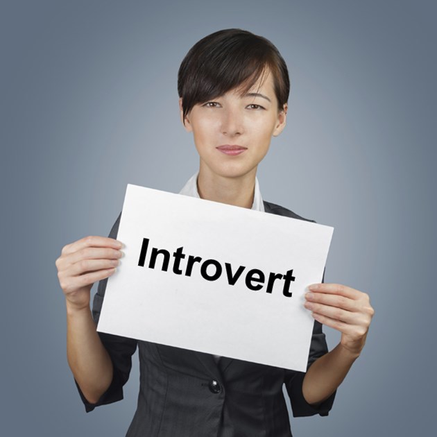 Leading as an Introvert | Small Groups
