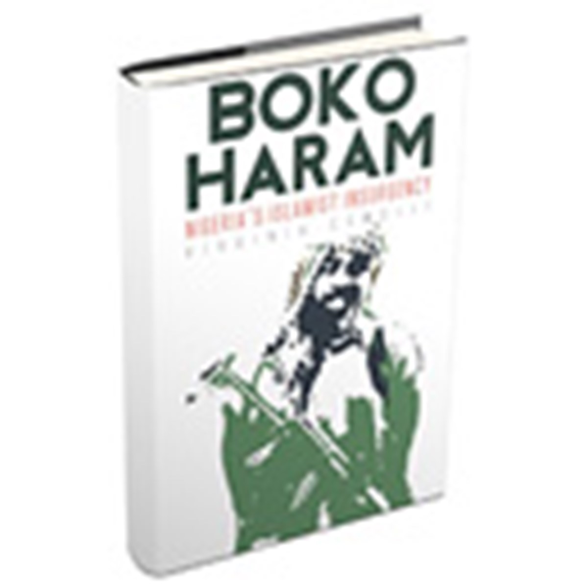 The Nigerian Jihad | Books and Culture