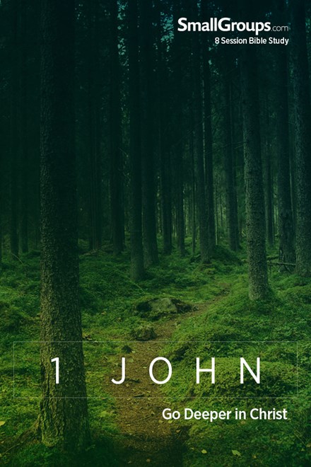 1 John: Go Deeper in Christ | Small Groups