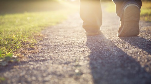 The Shadow of Jesus | Preaching Today